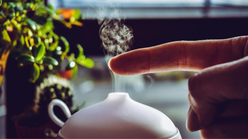 How to Use a Humidifier & How Does it Work? - ADOV